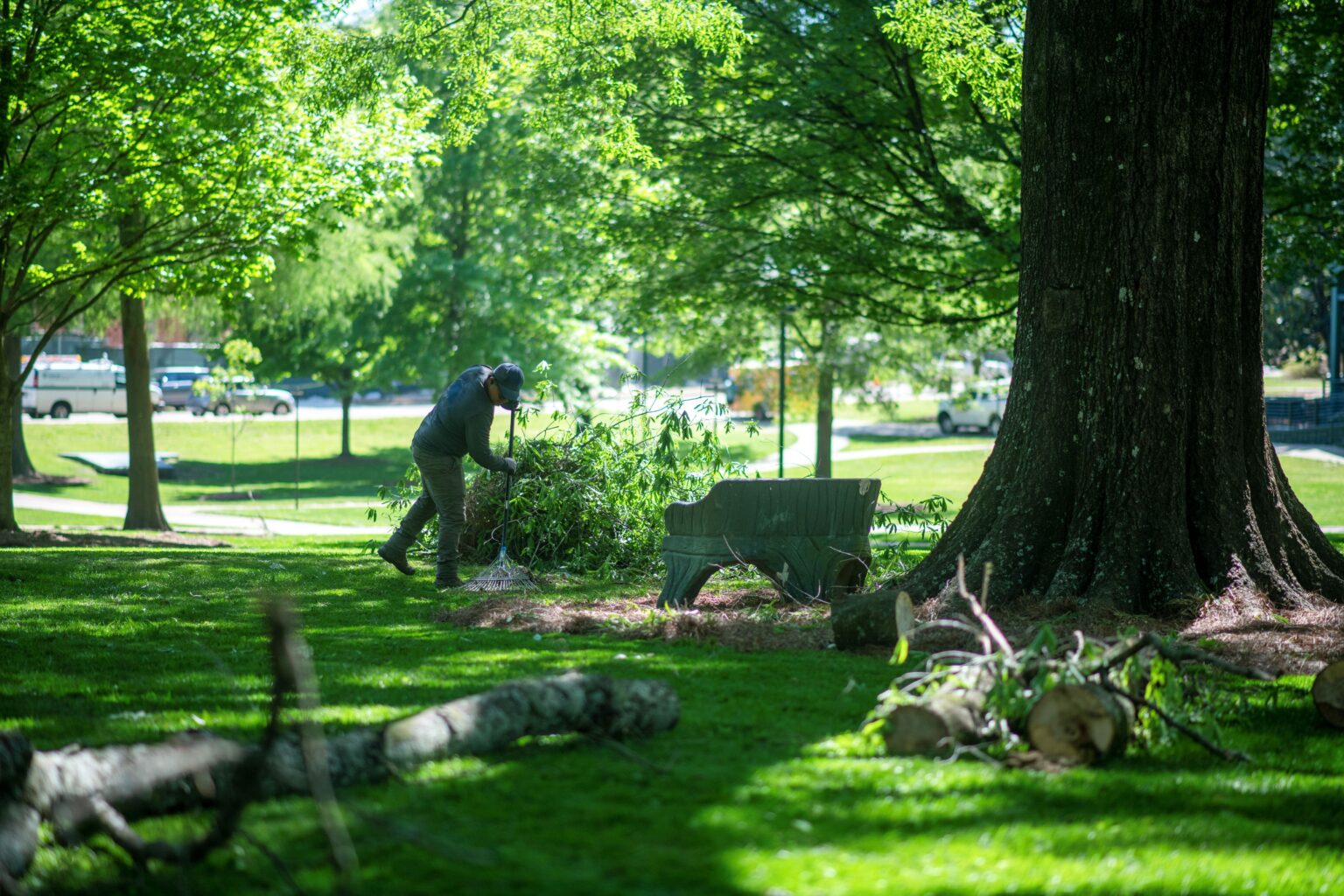Ole Miss flora plots rebirth with 29 new trees – The Daily Mississippian